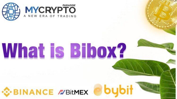 What is Bibox? How to trade on Bibox? - MyCryptoParadise